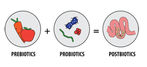 Pet Microbiome and How TruMune Works - TruMune
